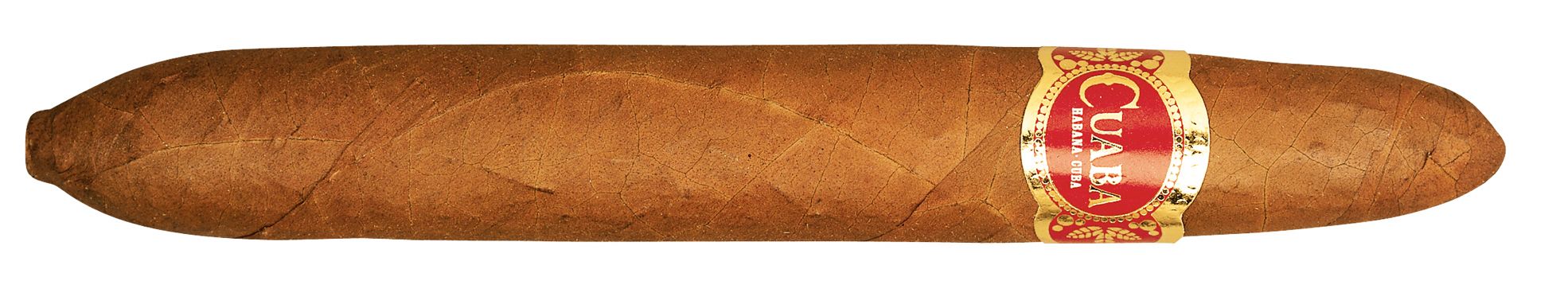 Cuaba Distinguidos - Tabak Träber OHG